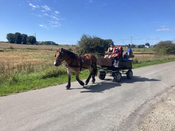 Simple carriage ride :: L'Ardennaise gourmande